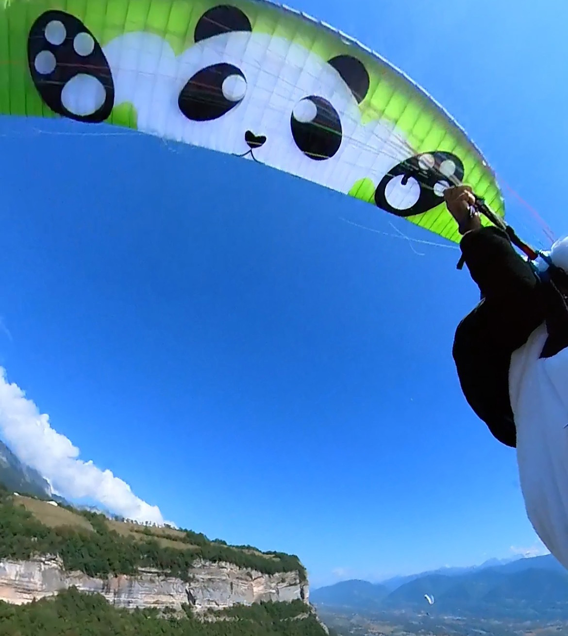 2025最新パラグライダー＆ハーネス情報